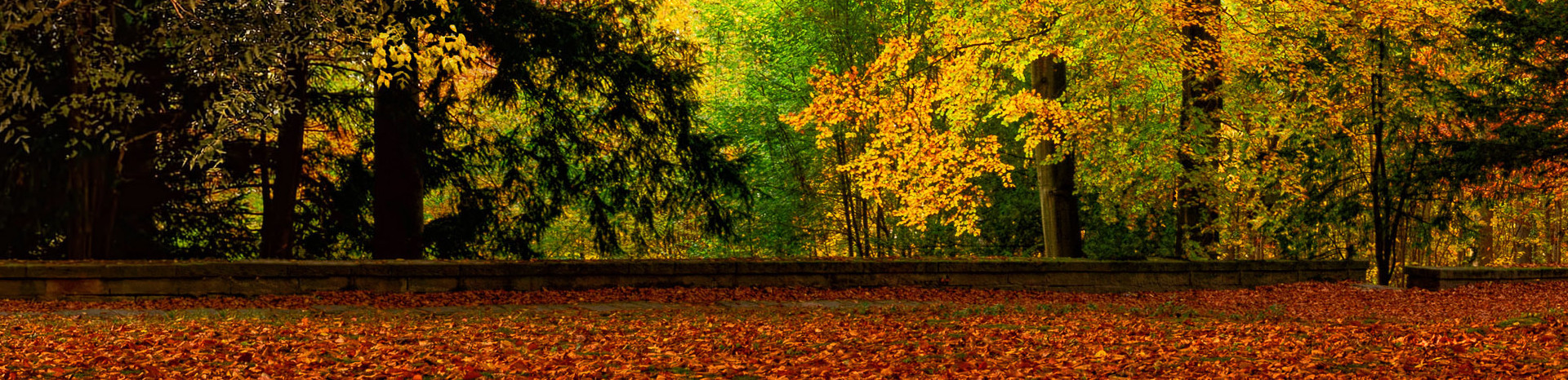 nature_front_page | TriCentury Bank